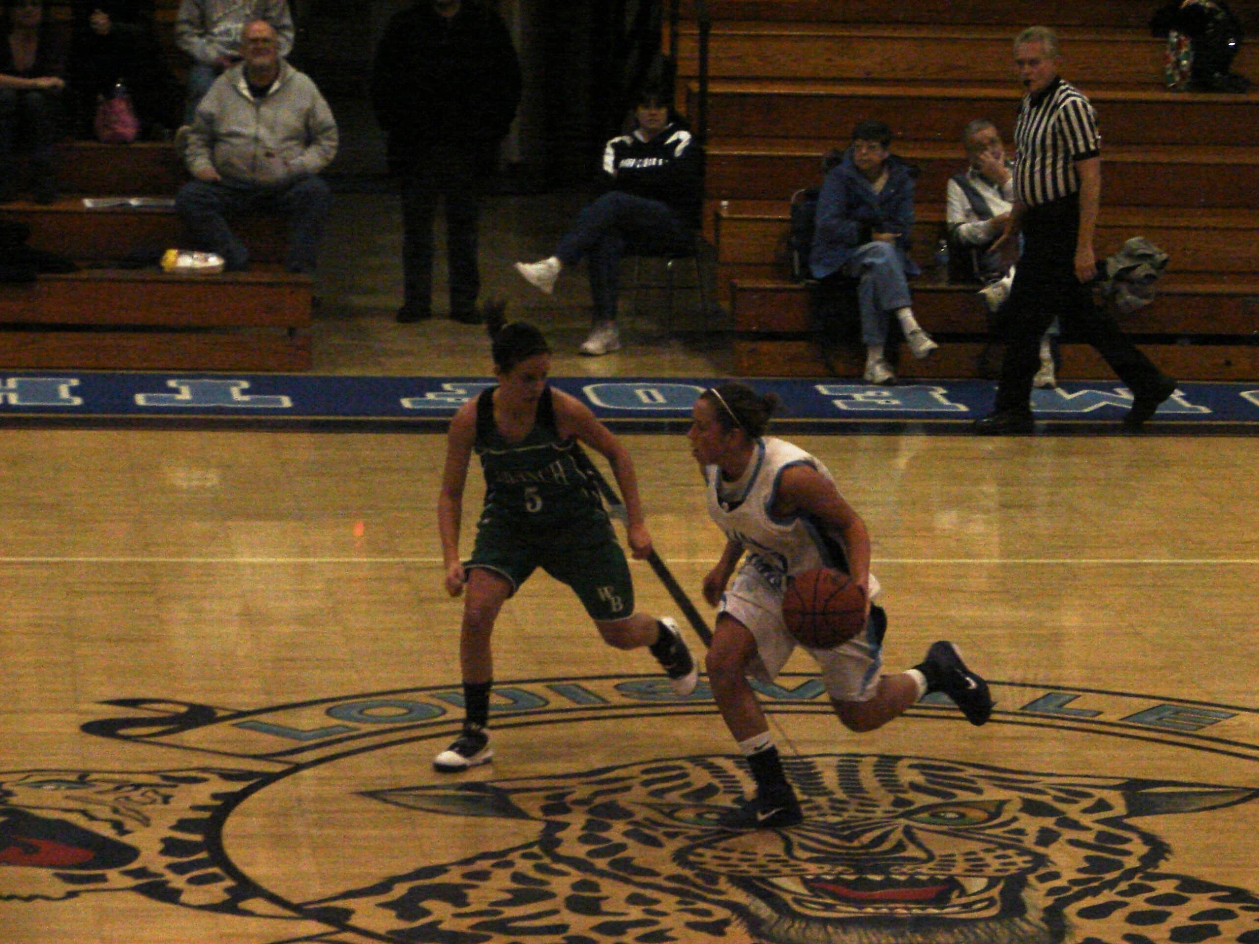 Abby Beaver Basketball Highlights Video 2013-2017