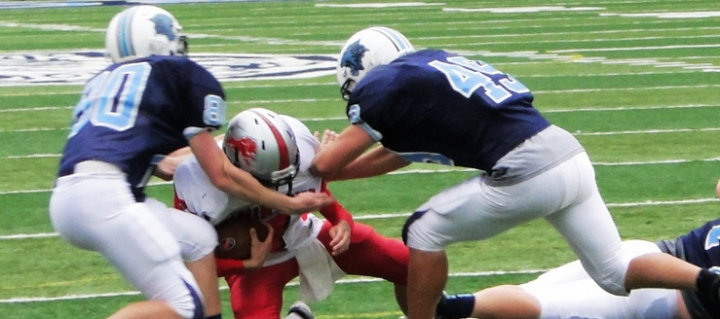 Minerva Lions at Louisville Leopards 2014 Football Preview
